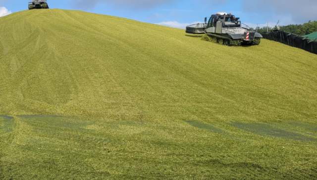 News | AVRIO Energie GmbH